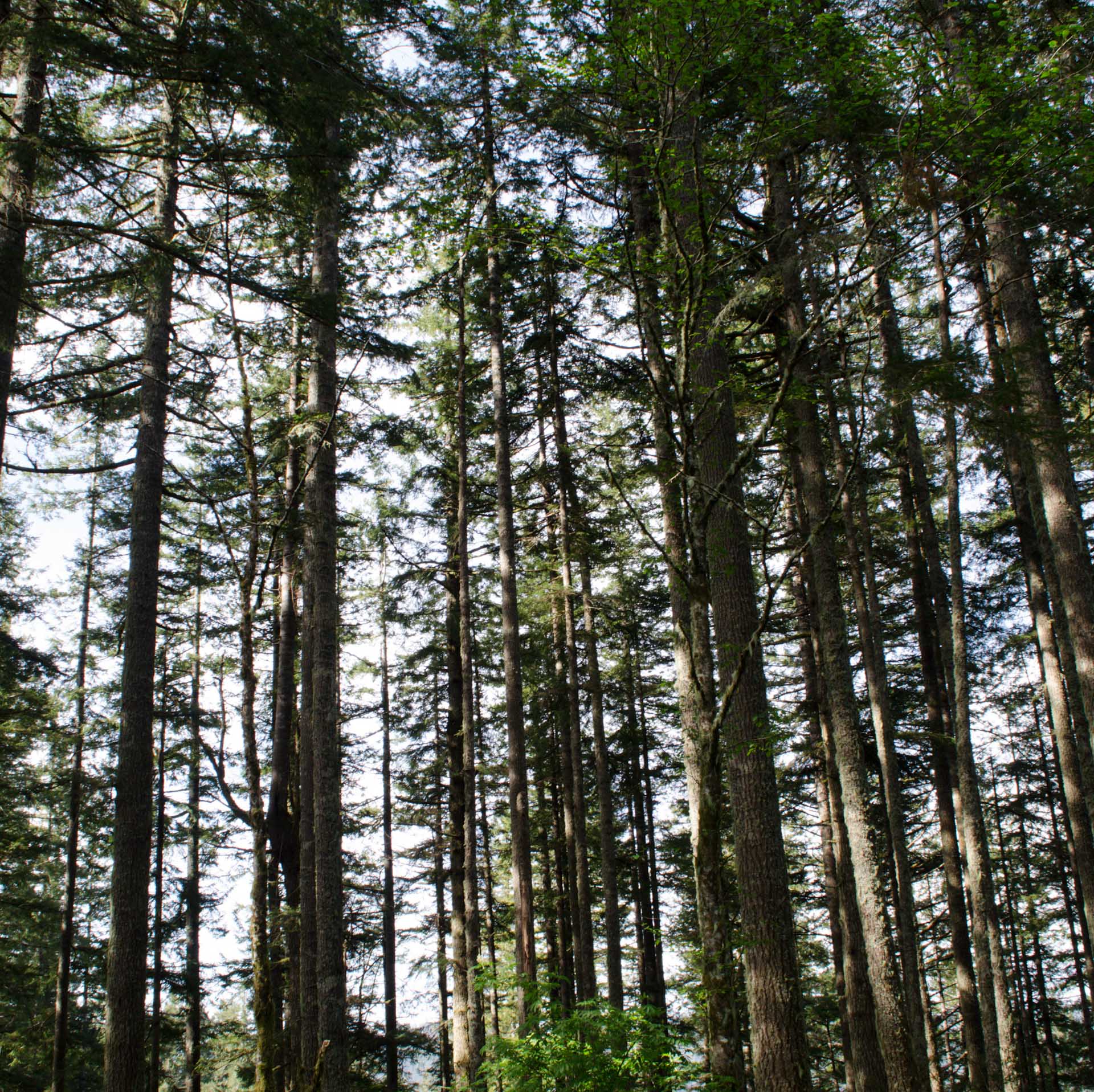 Oregon Department of State Lands : Welcome Page : State of Oregon