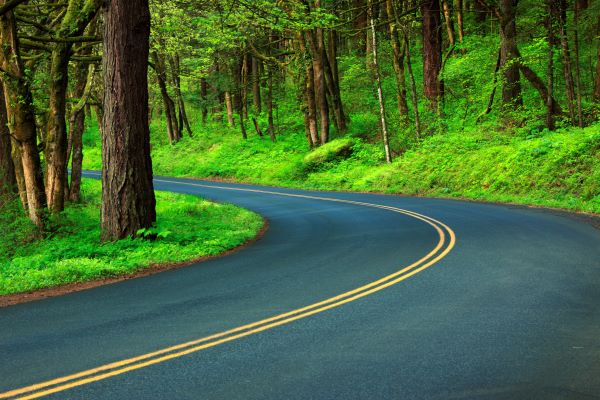 Oregon Department of Transportation : OReGO : OReGO : State of Oregon