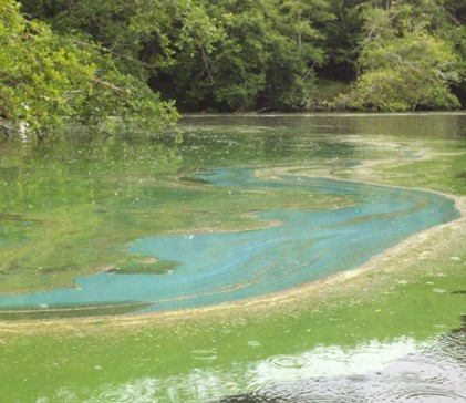 Oregon Health Authority : Groundwater Protection and Well Stewardship ...