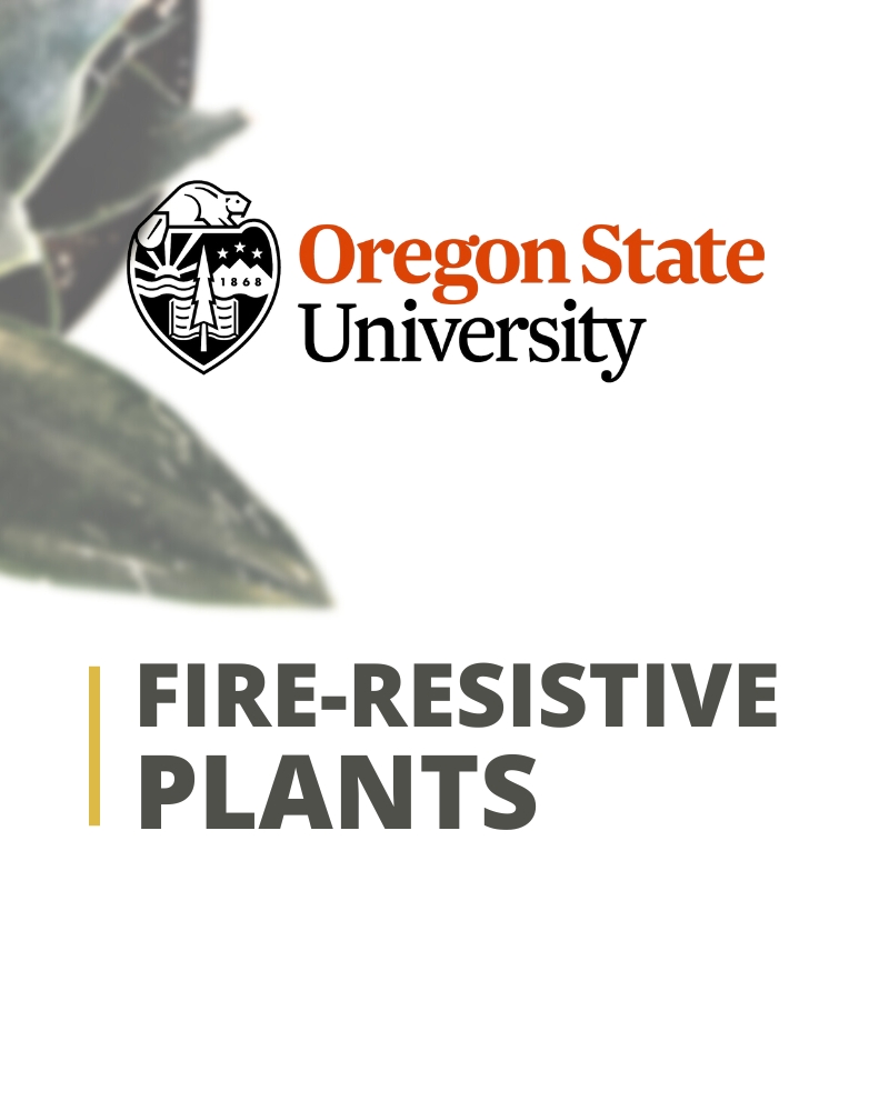 Oregon State Fire Marshal : Wildfire in Oregon : Wildfire in Oregon ...