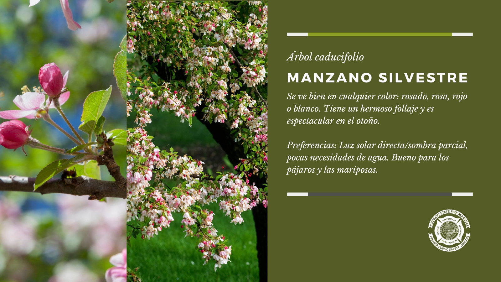 Oregon State Fire Marshal : Social Media Kits : Education : State of Oregon