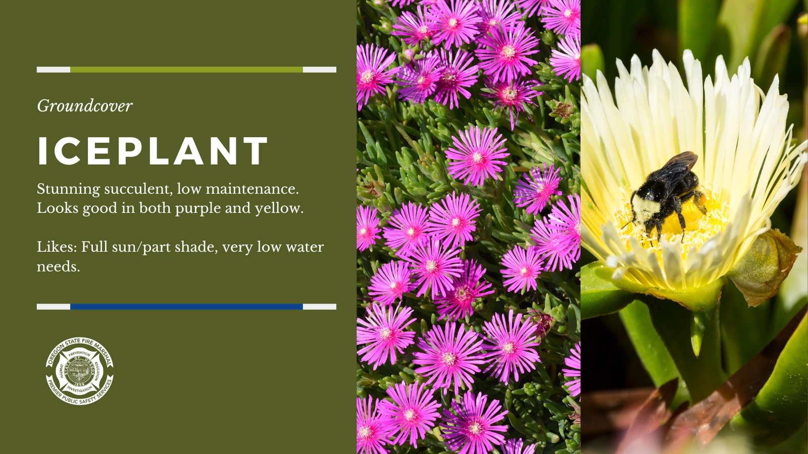 Oregon State Fire Marshal : Social Media Kits : Education : State of Oregon