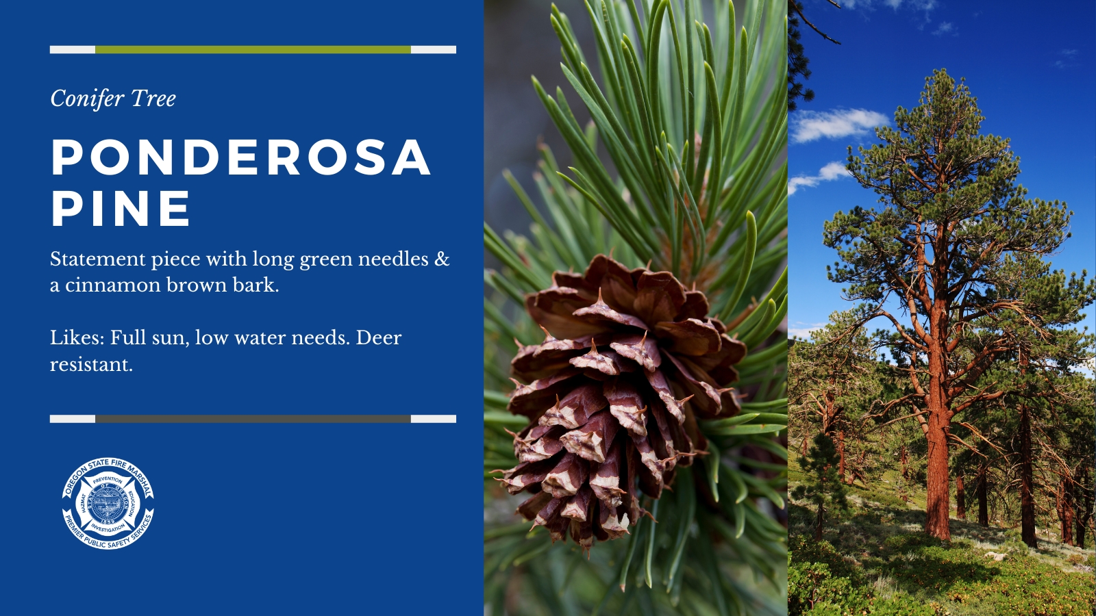 Oregon State Fire Marshal : Social Media Kits : Education : State of Oregon