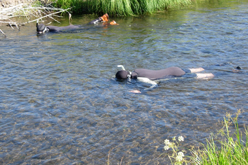 Oregon Watershed Enhancement Board : OWEB Index : State of Oregon