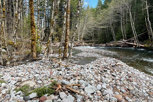 Oregon Watershed Enhancement Board : OWEB Index : State of Oregon