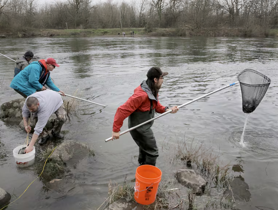 Oregon Watershed Enhancement Board : OWEB Index : State of Oregon